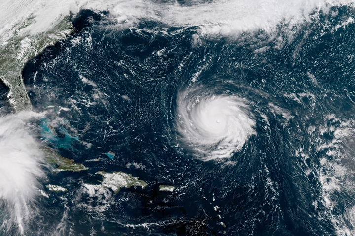 Florence is for the birds — and that’s both good and bad | William & Mary