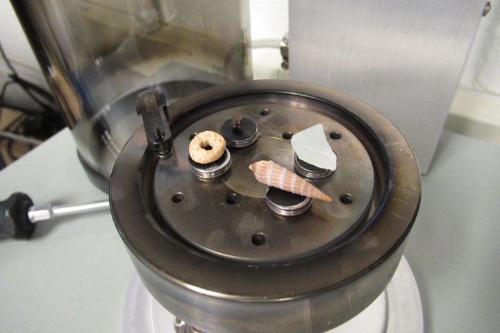 Art students learn to see scale through makerspace microscope | William ...