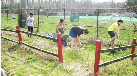 Maloney's farm helps grow attitude of sustainability | W&M News Archive ...